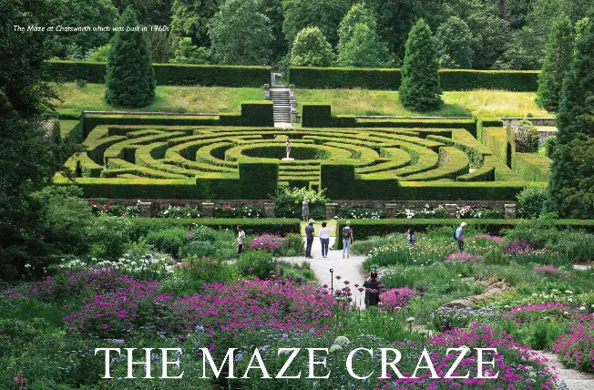 THE MAZE CRAZE - PressReader