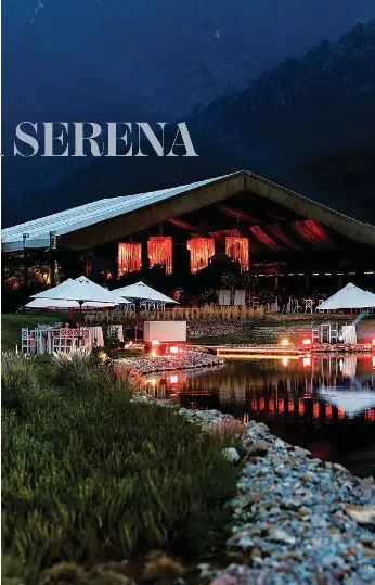 BODEGA TERRA SERENA - PressReader