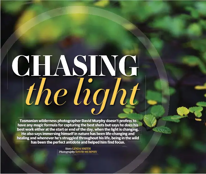 CHASING the light - PressReader