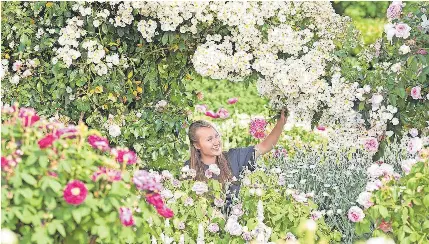 Rosy outlook for venue’s bloom fest - PressReader