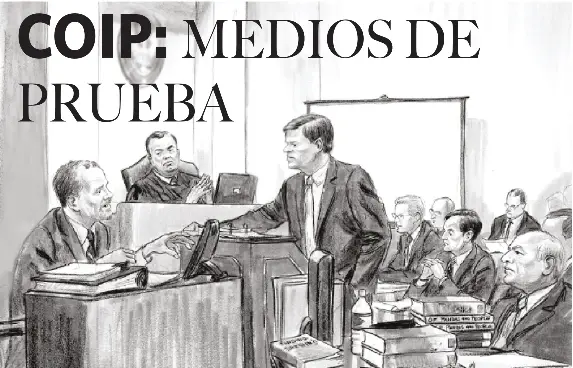 COIP: MEDIOS DE PRUEBA - PressReader