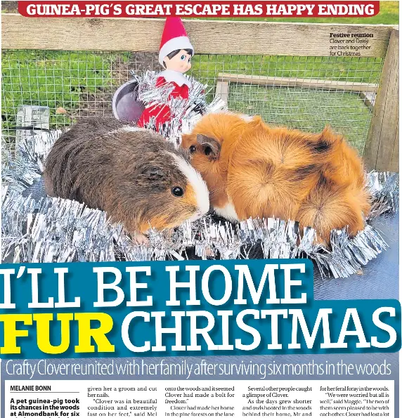I’LL BE HOME FUR CHRISTMAS - PressReader