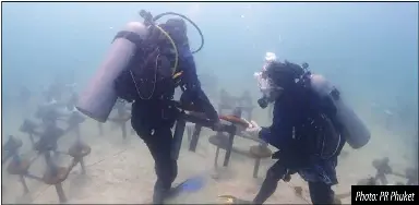 EGAT a ‘bright spark’ for coral recovery - PressReader