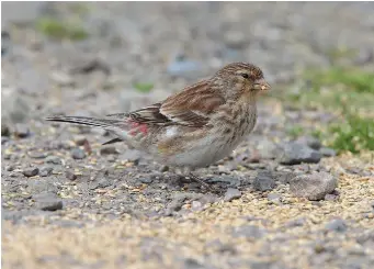 Basic Principles - PressReader