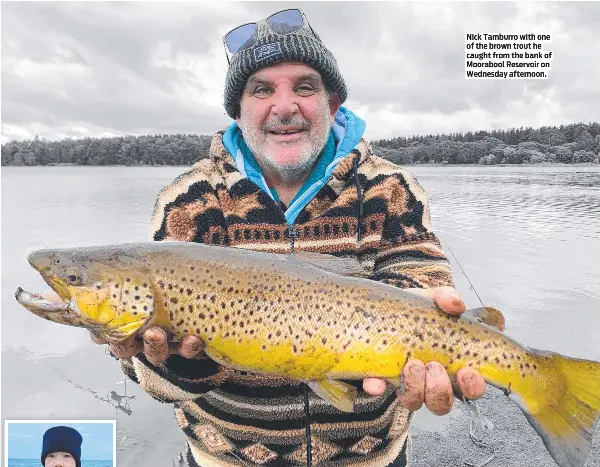 Banking on worms to deliver - PressReader