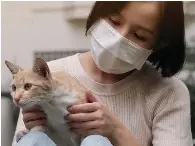 KEY REVELATION­S Kill all the cats, pandemic ministers told - PressReader