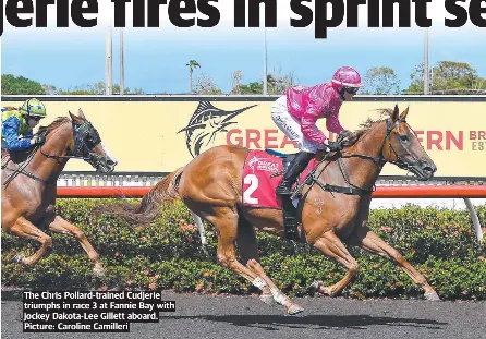 Cudjerie fires in sprint series - PressReader