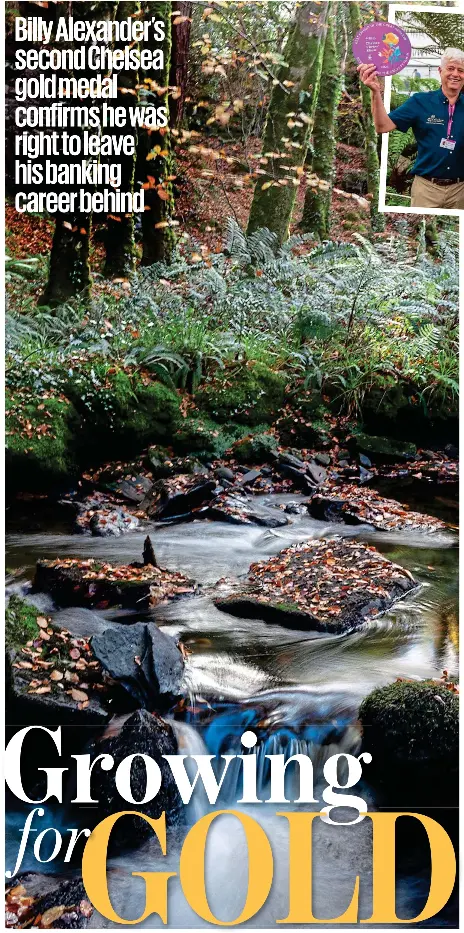 Growing for GOLD - PressReader