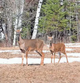 Variety of locations as hunting season nears - PressReader