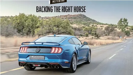 BACKING THE RIGHT HORSE - PressReader