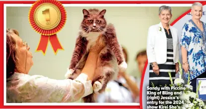 BEST IN SHOW - PressReader