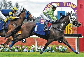 PERSEVERAN­CE IN FINE FETTLE - PressReader