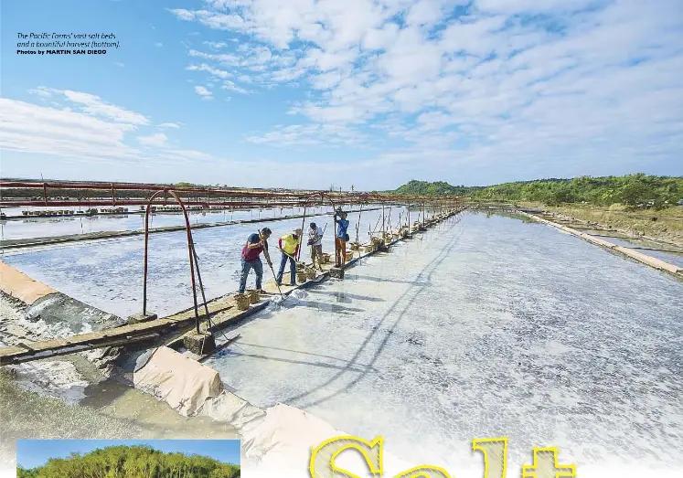 Salt of the Earth - PressReader