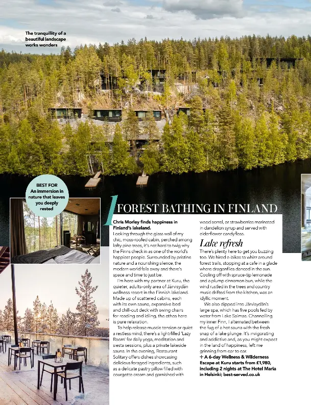 FOREST BATHING IN FINLAND - PressReader