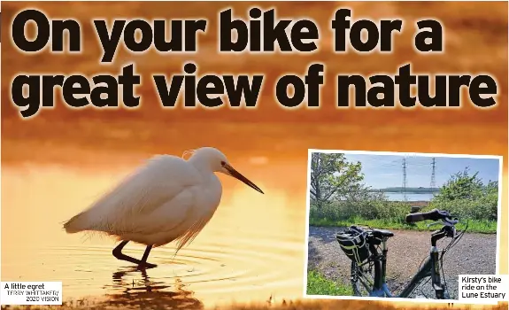On your bike for a great view of nature - PressReader