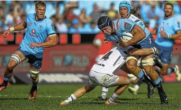 Bulls fire warning shots - PressReader