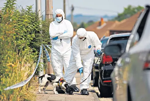 On the home front: the tough life of an Army wife - PressReader