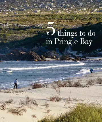 5 things to do in Pringle Bay - PressReader