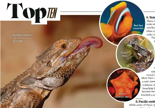 Sex-changing animals - PressReader