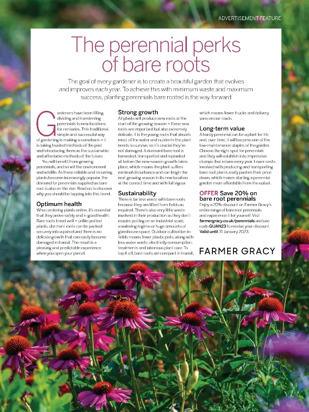The perennial perks of bare roots - PressReader