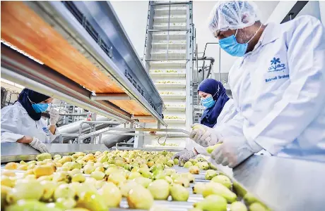 Egypt’s exports hit $13bn in first 4 months of 2024 - PressReader