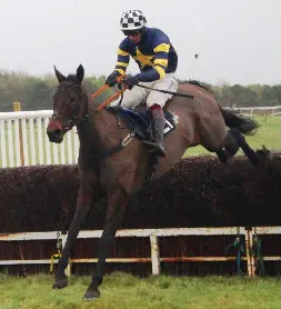 Bringing in 2023 in winning style - PressReader