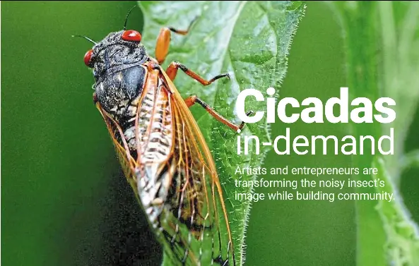 Cicadas in-demand - PressReader