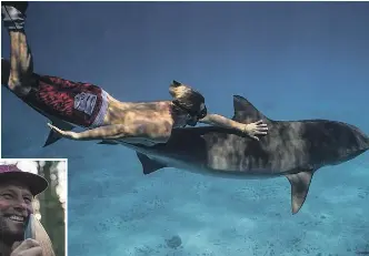 Bronze, blue and white: what to do if you meet a shark - PressReader