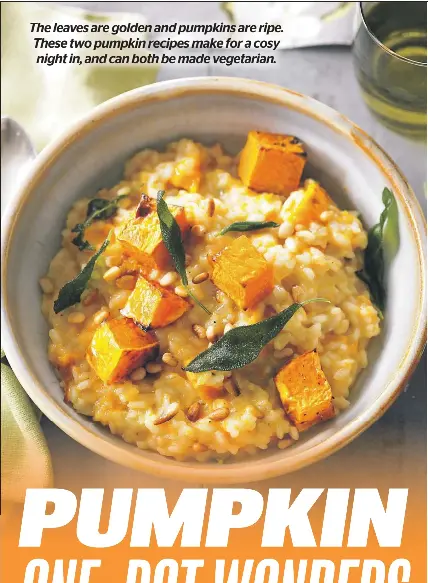 PUMPKIN ONE-POT WONDERS - PressReader