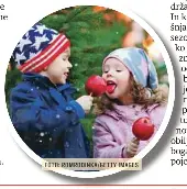 Sezonska sadje in zelenjava - PressReader