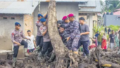 Search for flood survivors, bodies - PressReader