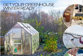 GET YOUR GREENHOUSE WINTER READY - PressReader