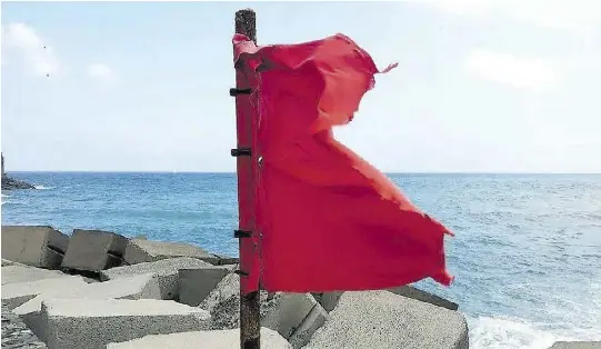 The red flags in the room - PressReader