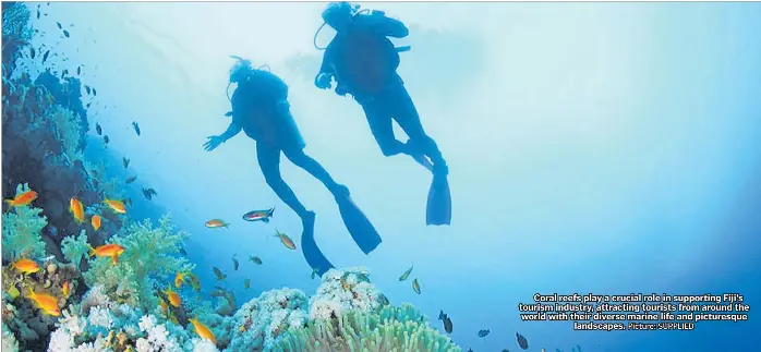 Unlocking the secrets of Fiji’s coral reefs - PressReader