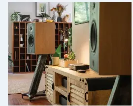 Promising debuts - PressReader