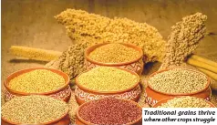 Traditiona­l grains a lifeline in hotter regions - PressReader