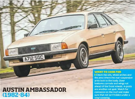 AUSTIN AMBASSADOR (1982 - 84) - PressReader