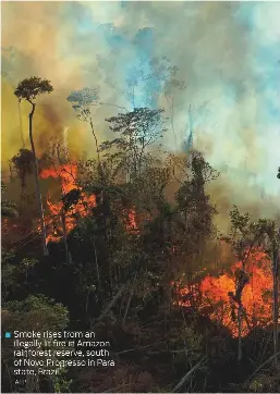 COP26: 100 countries pledge to end deforestat­ion by 2030 - PressReader