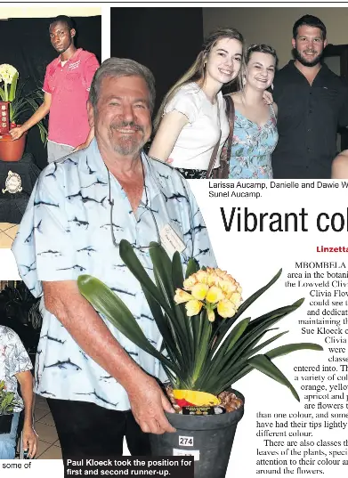 Vibrant colours at clivia show - PressReader