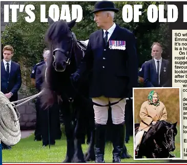 IT’S LOAD OF OLD PONY - PressReader