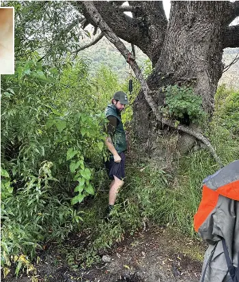 ‘Nationally critical’ bats moving closer to Nelson - PressReader