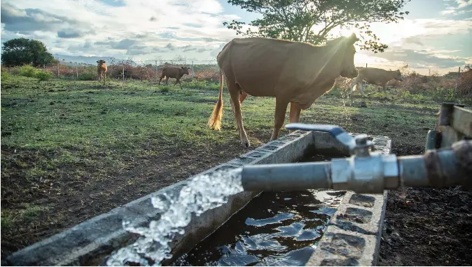 Yaqara Ranch – Far From its Vision - PressReader