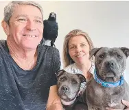 Magpie Molly’s new tale - PressReader