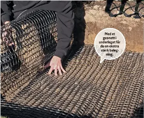 Geonett forsterker underlaget - PressReader