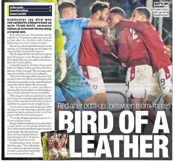 BIRD OF A LEATHER - PressReader