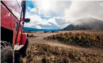 CORPORATIO­NS GO WILD - PressReader