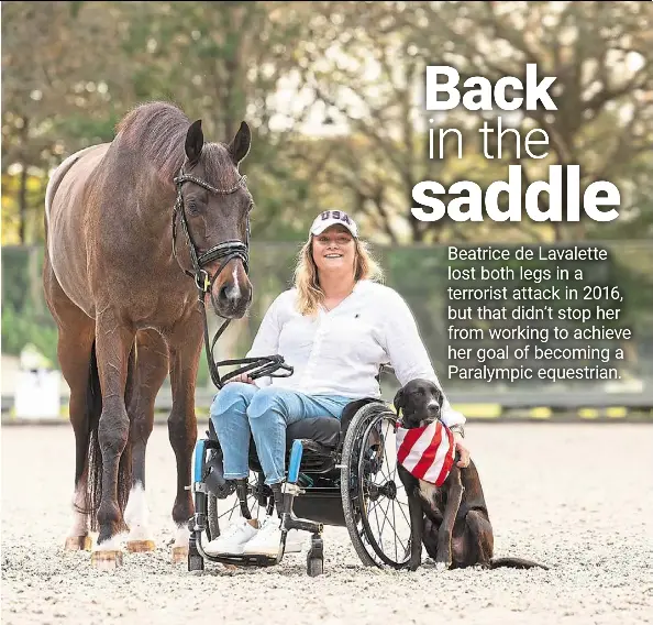 Back in the saddle - PressReader