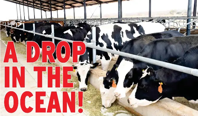 A DROP IN THE OCEAN! - PressReader