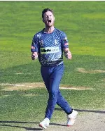 Sparks, Volts showing others how it’s done - PressReader