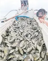 Cage watch - PressReader